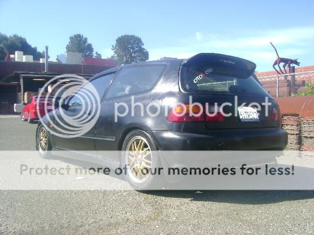 painted ls mesh? | Team Integra Forums