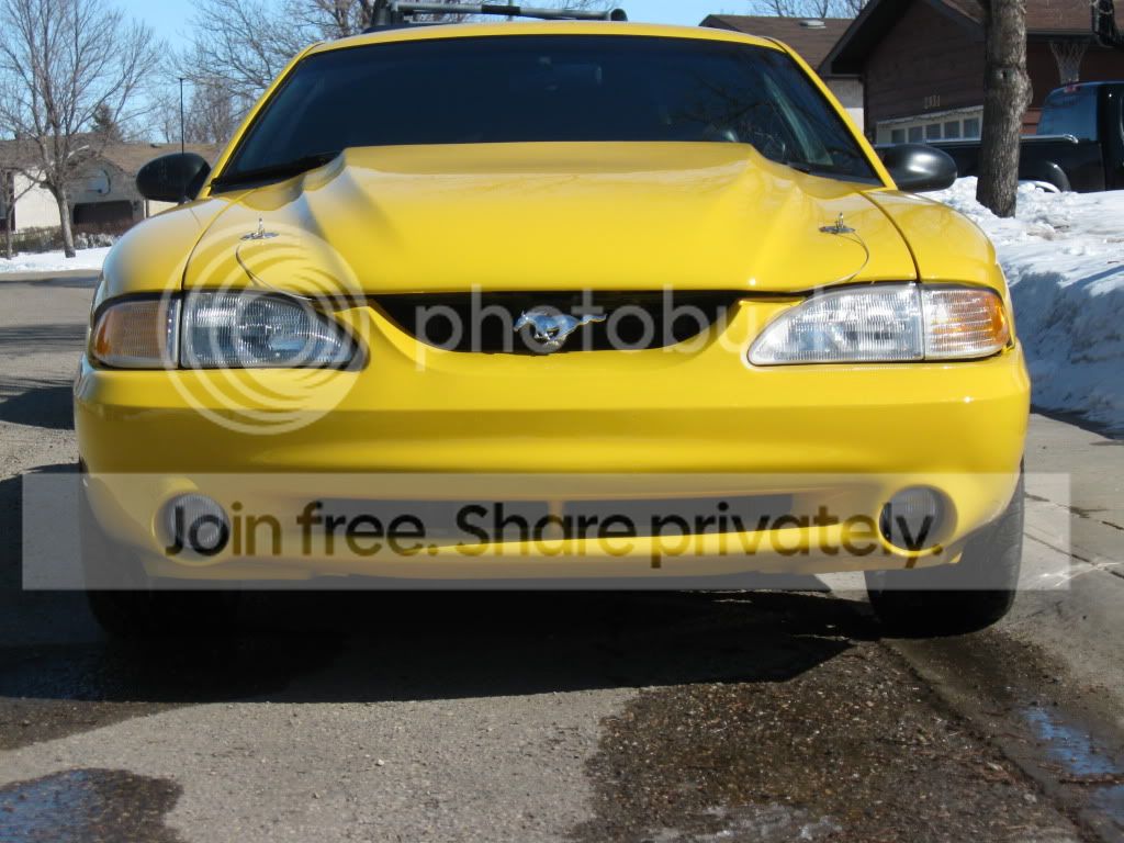 lets see some YELLOW SN95's!!! | SN95Forums The Only SN95 1994-2004 ...