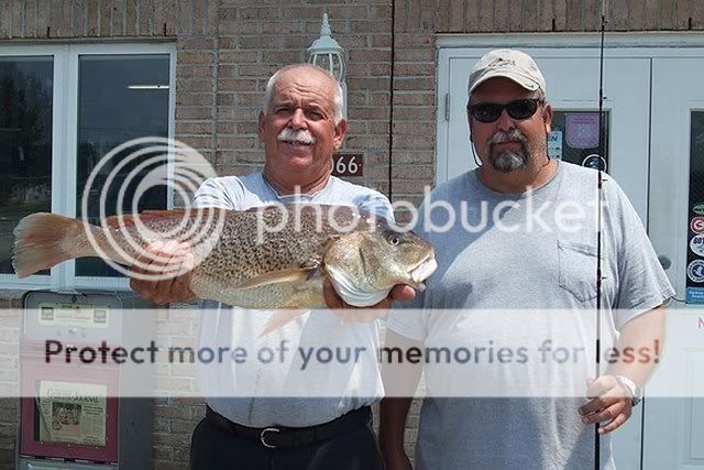 World Record Horse Croaker - monster | Pier and Surf Forum