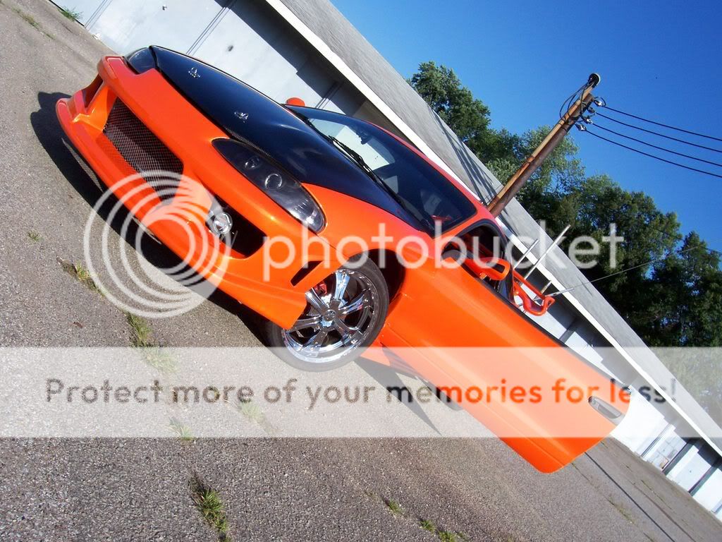 first photo shoot as tangelo pearl orange, caution high res | 502 ...